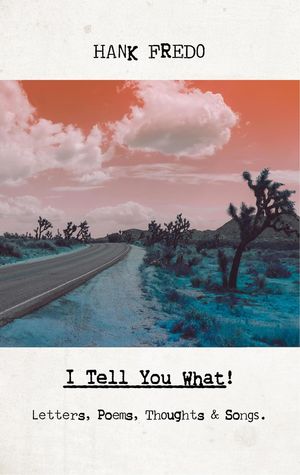 ＜p＞This is not a novel in the traditional sense. It's a box of scraps, a paper trail, a record of someone trying very ha...