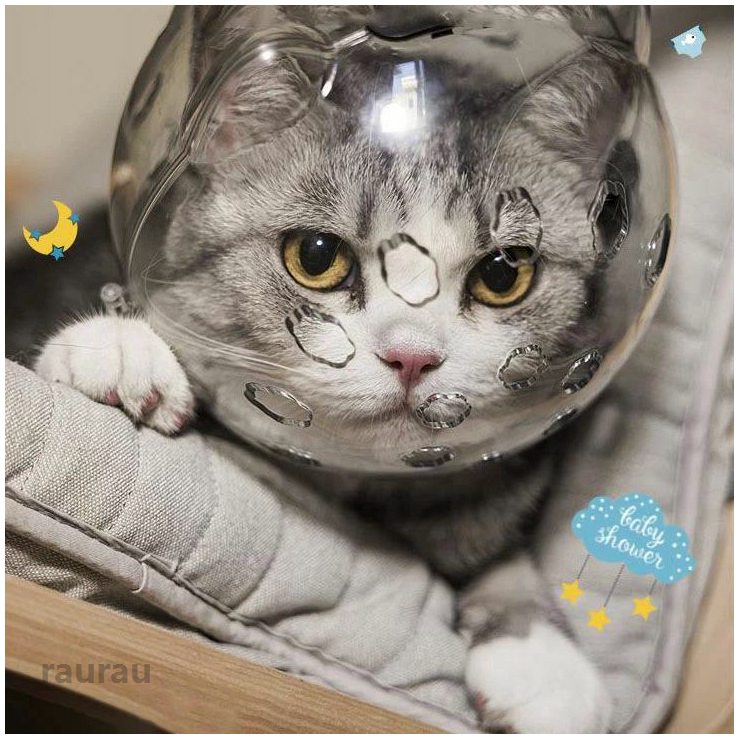 猫 口輪 猫宇宙ヘッドギア口輪口輪 可愛しつけ用口輪 猫用マズル 通気性 猫 爪切り補助用 猫用エリザベスカラーペット用品噛みつき防止拾い食い 噛みつき家具破壊防止 診察ペット用品 広いスペース、オープンビュー、より多くの光が猫の恐怖と不安...