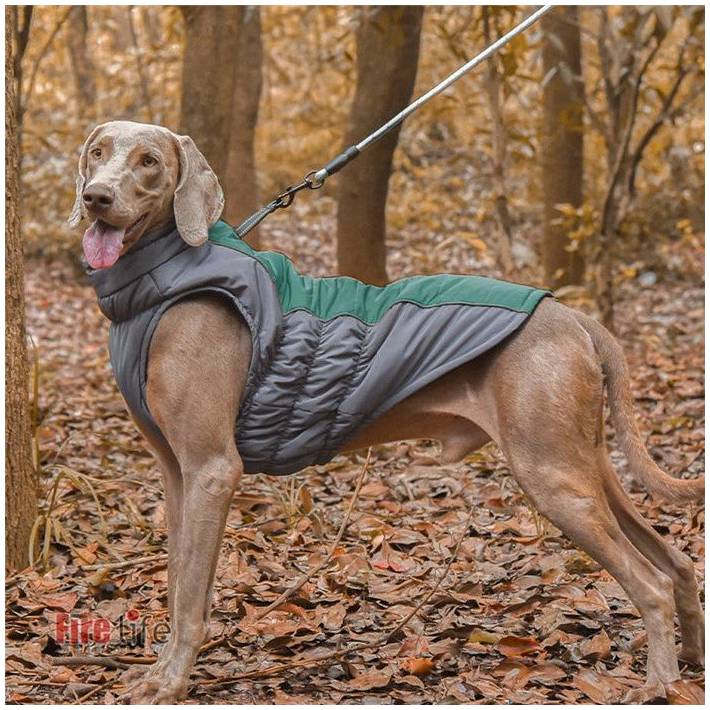 ペット服 アウトドア パーカー 裏起毛 中棉ジャケット 秋冬 小型犬 中型犬 大型犬 防寒 防風 保温 犬服 撥水 送料無料 裏起毛 中棉ジャケット 秋冬 小型犬 中型犬 大型犬 防寒 防風 保温 犬服 注意：色がある場合、モニターの発色の...