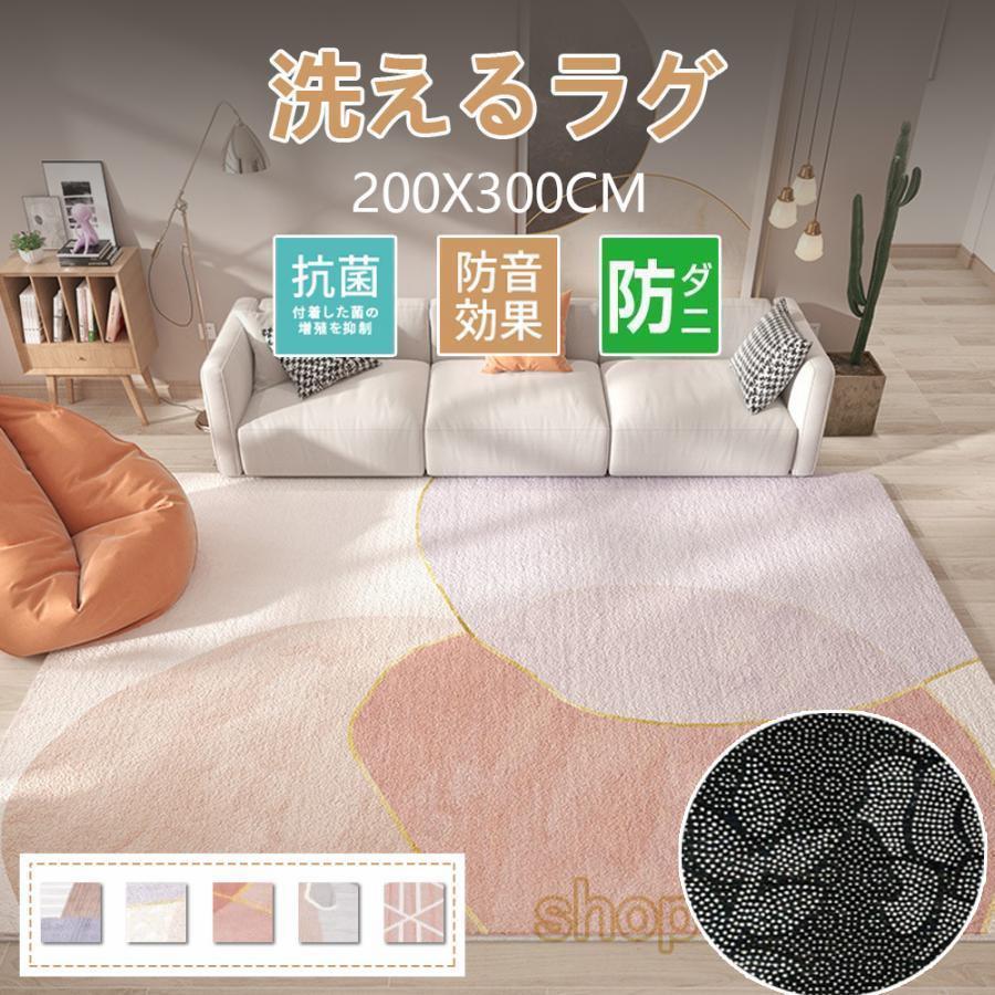 【サイズ】：60X90cm120x160cm160×200cm160×230cm200×250cm200×300cm■素材：ポリエステル■厚さ：普通注意事項:※モニターの発色具合により、実際のものと色が異なる場合があります。 (カスタマイズ...
