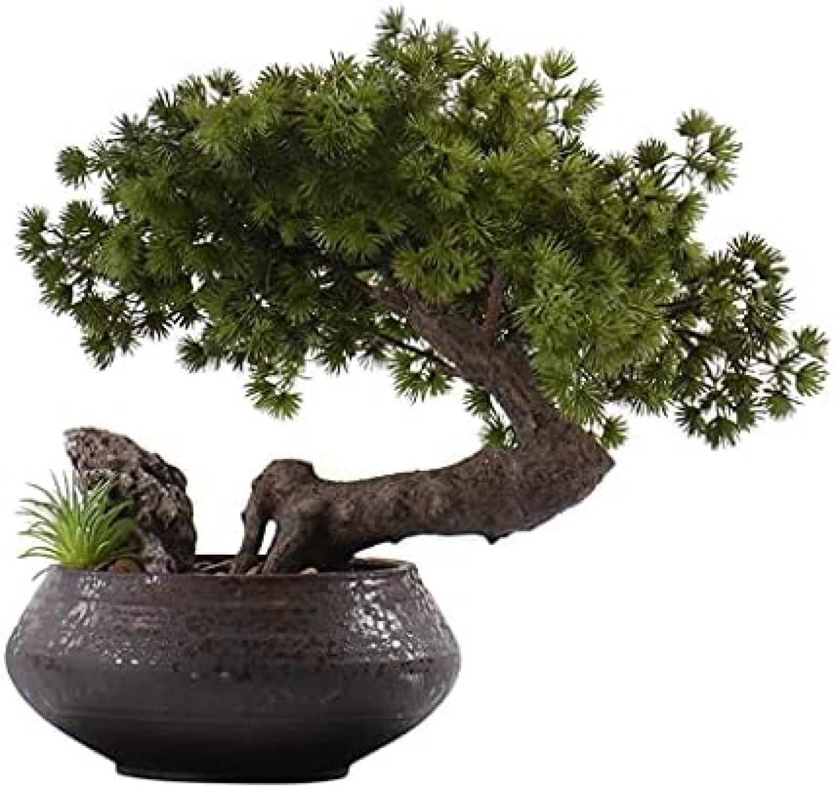 説明 「リアルな人工観葉植物 - ブラックレトロ陶器ポット付きのシックなシミュレーションツリー」2.製品サイズ：14.96×7.87×13.77インチ 艶やかで滑らかな形状と鮮明な枝のテクスチャが特徴。 196×7.87×177インチの製品...