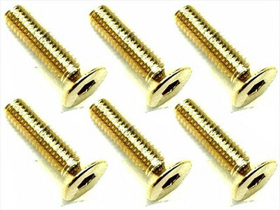 光沢のある24kゴールドメッキを用いたステンレスヘックスビスの各サイズ単品の発売です。強度もあり、目立ち度アップ！