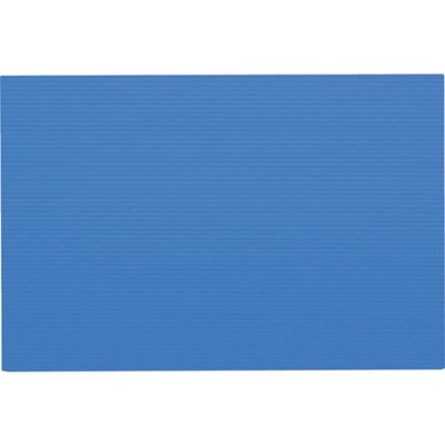 特長●衝撃に強く、断熱効果や遮音効果に優れているプラスチックダンボールです。●紙のダンボールと違い何度も繰り返し使用できますので経済的です。用途●養生に。仕様●色：ブルー●幅(m)：0.3●長さ(m)：0.45●厚さ(mm)：4材質／仕上●...