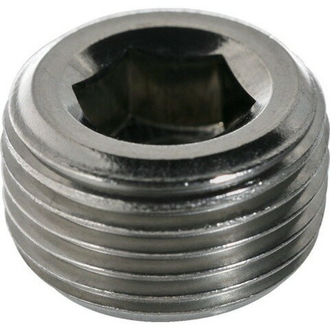 【商品詳細】●配管用止め栓です。●沈みタイプのプラグです。●一般油圧機器、空圧機器、ポンプ、自動車などの分野で耐密用。●呼び寸法：PT1/2●長さt(mm)：12.5±0.4●二面幅B(mm)：10●m(mm)：6.0材質／仕上●ステンレス...