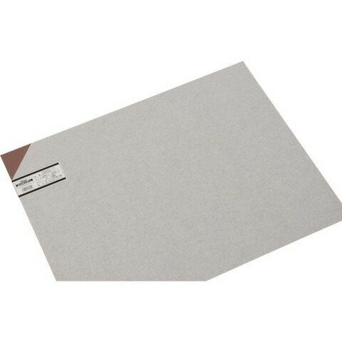 【商品詳細】●電気絶縁性・対薬品性に優れています。●難燃性です。●標示板・・ディスプレー電気絶縁材に。●色：スモーク透明●幅(mm)：450●長さ(mm)：600●厚さ(mm)：2●取付仕様：穴ナシ(加工フリー)●取付方法：ビス止めまたはテ...