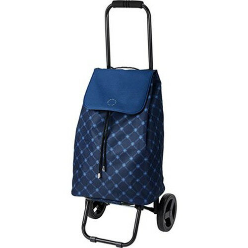 年齢を問わずにお使いいただける上品でファッショナブルなカート。特長・生地やフレームにこだわった上品でファッショナブルなカート。・モノグラム風モチーフを無地調の配色でまとめました。落ち着いたカラーで合わせる服を選びません。フレーム部分も艶を消...