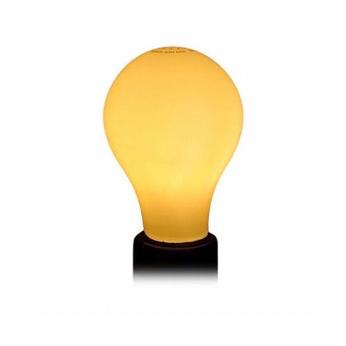フィラメント式LED電球60W相当電球色ホワイト商品特徴一般電球のように全方向に光が広がり、色合いも白熱電球と変わらないLED電球です。商品仕様・光色:電球色相当・使用電圧:AC100V・定格消費電力:7W・材質:ガラス、アルミ・サイズ:長...