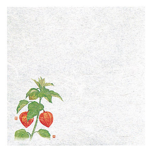 【商品説明】敷紙のほか、掛け紙としても最適な、薄口雲竜和紙です。☆薄口のため透過性がよく、掛紙として、やわらかな雰囲気を演出することができます。☆吸水性に優れていますので、霧吹き等で湿らせて乾燥防止にもご使用いただけます。【仕様】サイズ:約...