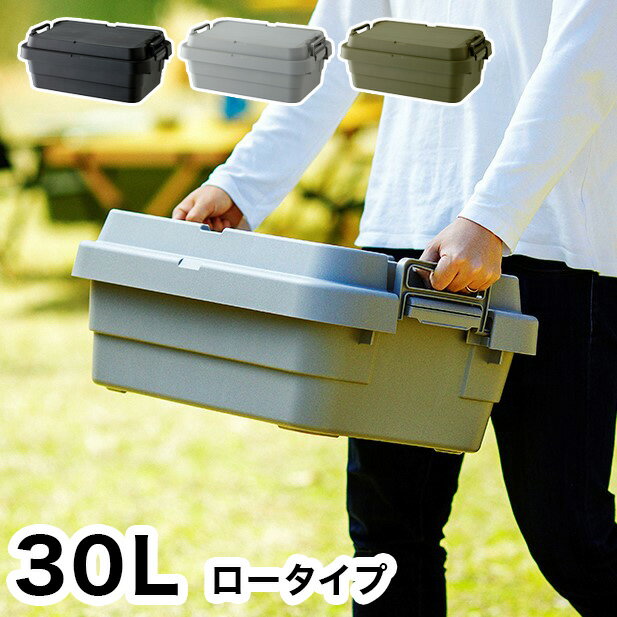 ■素材ポリプロピレン■商品サイズ幅60×奥行39×高さ24cm容量：30L■商品重量約2.3kg■原産地日本■備考完成品■コメントトランクカーゴに新サイズが登場。収納しやすく取り出しやすい浅型タイプで更に容器内で荷物を整理できる仕切板（別販...