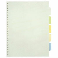 5色5山5枚1組。グレー、緑、黄、オレンジ、青。ポケット：PP製。タテ型(30穴)：横243×縦300mm。重量:74g透明ポケットとしても使える多穴ポケットの細分類用インデックス。【送料について】北海道、沖縄、離島は送料を頂きます。