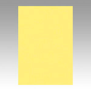 豊富な色数63色、色彩豊かで用途も広く使えます。●4切判 392*mm*×542*mm*●8切判 392*mm*×271*mm*●A3ノビ判 307*mm*×430*mm*（A3サイズよりやや大きめです）●紙厚122.1*g*／*m2*●約...