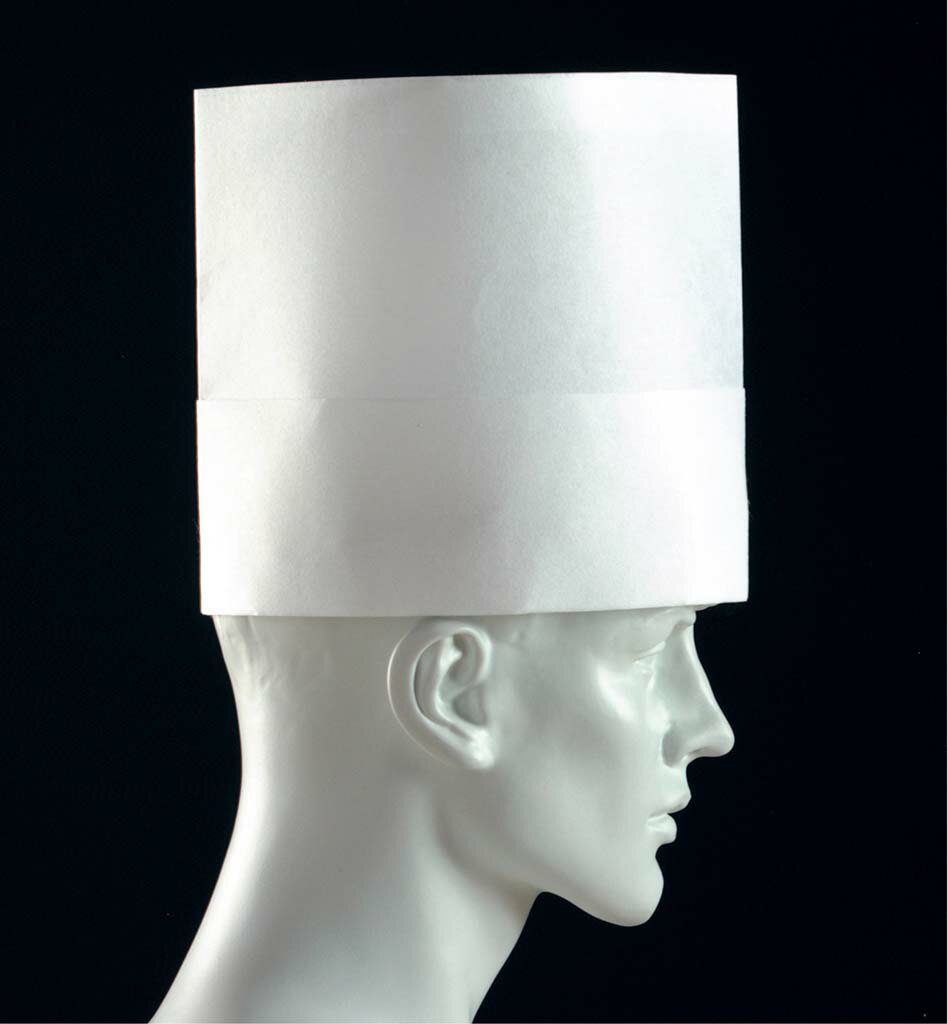 【商品説明】●型くずれ無し【外寸】210 【材質】天然植物性不織布【代引きについて】こちらの商品は、代引きでの出荷は受け付けておりません。【送料について】北海道、沖縄、離島は送料を頂きます。