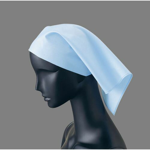 サンペックスイスト 三角巾51（サックス）2枚入 SSV0102 JANコード 4582439080403●メーカー品番:51●カラー:サックス●巾×中心巾(cm):88×42●材質：ポリエステル65％、綿35％■ポリエステル65%+綿35...