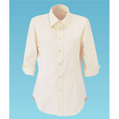 サンペックスイスト 男女兼用ショップコートET-5732 SS （バニラ） SSY2201 JANコード 4589929631138●メーカー品番:ET-5732●サイズ:SS●首囲(cm):37●着丈(cm):64●肩巾(cm):38●胸...