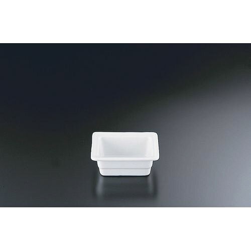 メイフェア TKG ガストロノームディッシュ 1／6 100mm NGS1602 JANコード 4905001129193●間口×奥行(mm):176×160●深さ(mm):100●容量(L):1.0■メイフェア ガストロノームディッシュシ...