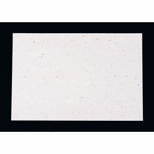 アーテック 尺三まっと（100枚入） 白金銀雲流 KG-01 QMT42 JANコード 4560164123985●メーカー品番:KG-01●縦×横(mm):390×264●材質：無蛍光和紙■尺三まっと金銀雲流(100枚入) 390×264...