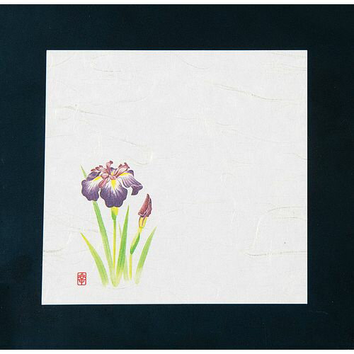 アーテック ニュー四季懐紙 4寸（100枚入） NS-20 あやめ QKIF901 JANコード 4560164127242●幅×奥行(mm):120×120●材質：両面ポリラミ金銀■和紙の表面に特殊加工してありますので、絵柄の上に直接 食...