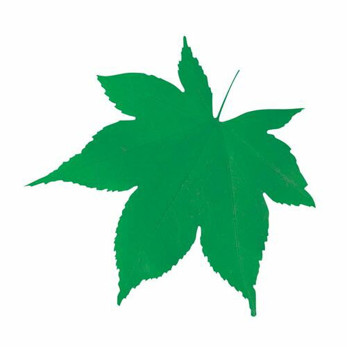 ヤマコー 型抜きクリアシート（200枚入） 65783 ミニ・青もみじ QKL2001 JANコード 4988484657834●メーカー品番:65783●型:ミニ・青もみじ●幅×奥行(mm): 75× 74●材質：ポリプロピレン■安全性を...