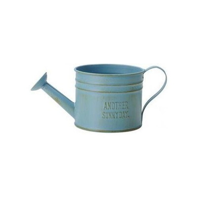 【商品説明】●GREENHOUSEグリーンハウスパステルブリキ2.5寸多肉用ジョーロ缶穴あり／ライナー付2.5号ポットが1個入ります。●サイズ(約)：165×85×H70mm●材質：ブリキ●カラー：ブルー●写真と実物の商品ではサイズ、色合い...