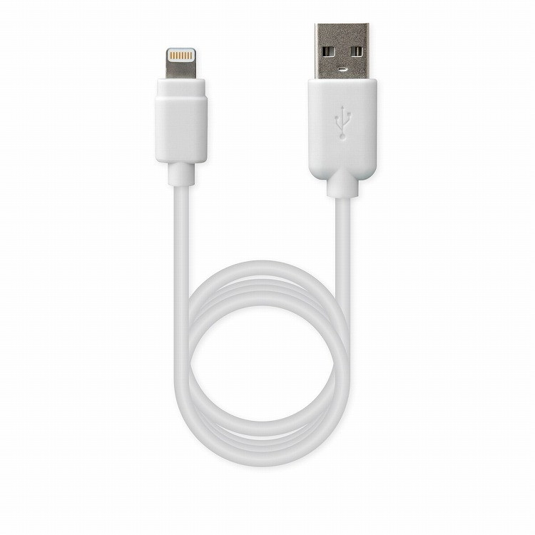 【商品説明】●iPhoneを充電。【商品詳細】●Apple正規認証品。●本体サイズ(約):W12×H27×D6mm。●パッケージサイズ(約):W55×H180×D25mm。【代引きについて】こちらの商品は、代引きでの出荷は受け付けておりませ...