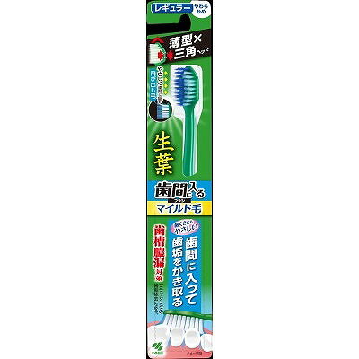 【商品説明】●届きにくい歯間の歯垢までかき取る歯ブラシです●飛び出し毛がマイルドなのでやさしく歯間に届きます●歯間に入って歯垢をかき取る●薄型×三角ヘッドで奥歯の奥まで磨ける設計●歯槽膿漏対策を考えた歯ブラシです●ヘッドの大きさ：レギュラー...