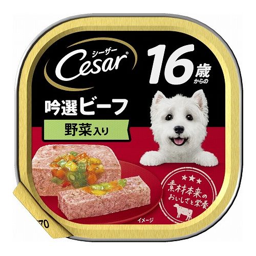 【取り寄せ品のご注意事項（ご注文前にご確認ください）】・本商品は原則注文後のキャンセルはお受けできません。・本商品と他商品で同梱注文をいただき、仮に他商品が完売等でご用意できない場合でも本商品は発送させていただきます。・本商品を複数（2点以...