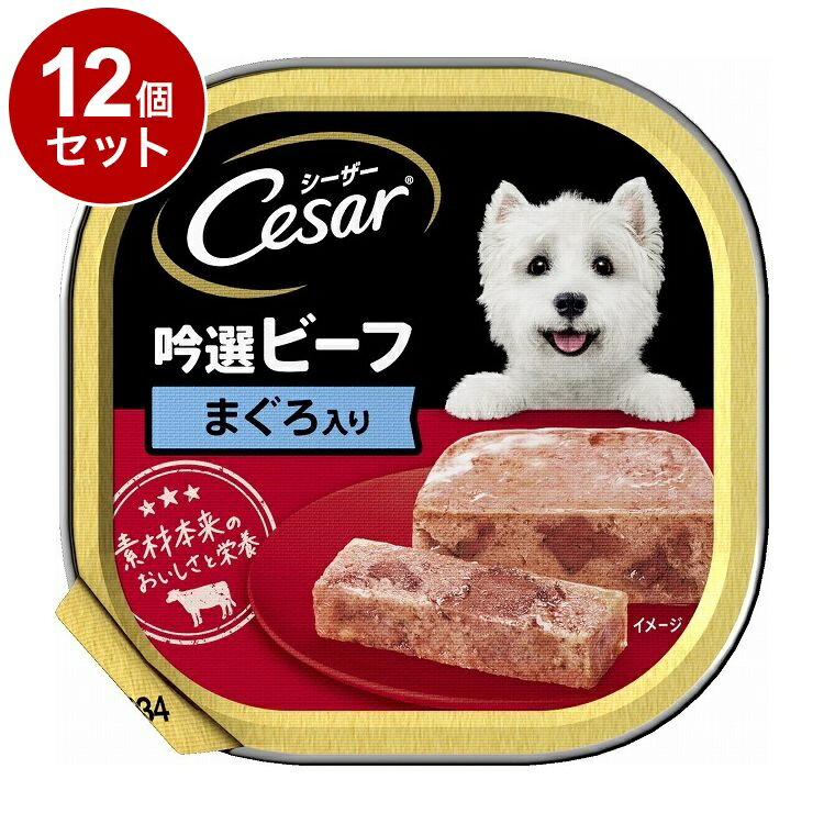 【取り寄せ品のご注意事項（ご注文前にご確認ください）】・本商品は原則注文後のキャンセルはお受けできません。・本商品と他商品で同梱注文をいただき、仮に他商品が完売等でご用意できない場合でも本商品は発送させていただきます。・本商品を複数（2点以...