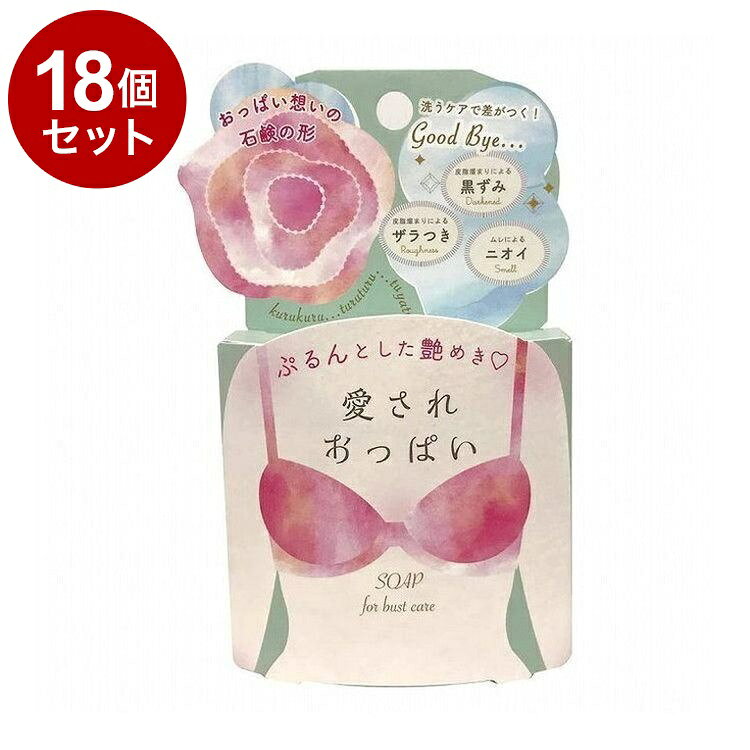 【商品詳細】ブラジャーによる締めつけやムレ、摩擦など、過酷な環境に置かれているおっぱい。また、お肌もとても複雑で、谷間やバストトップは皮脂の分泌が多い一方で、乳房の皮膚はとても繊細で乾燥しやすい。そこで、繊細な皮膚と汚れケアを両方持ち合わせ...