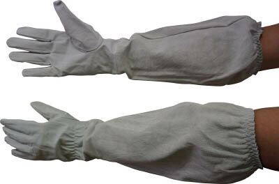 【商品詳細】●肘まで豚本革を使用した手袋です。果樹の剪定や収穫に最適です。●収穫作業。●剪定作業。●サイズ:M●色:ホワイト●全長(cm):47.0●手のひら周り(cm):21.2●中指長さ(cm):8.8●厚み:約0.7mm●豚本革【送料...