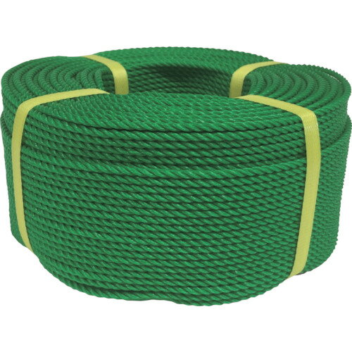 【商品詳細】●軽量で水に強く、強力でショックにも強いロープです。●ネット、農園芸、インテリアなど。●色：緑●線径(mm)：4●長さ(m)：200●包装形態：バンド掛巻●引張強度(kN)：1.76材質/仕上●ポリエチレン(PE)原産国日本JA...