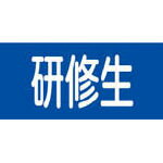 【メーカー型番】139713【JANコード】4932134214663【ブランド】緑十字【特徴】●衣服を傷つけず、着脱が容易な伸縮ゴム製の腕章です。【用途】【仕様】●縦(mm):95●横(mm):320●表示内容:研修生●質量(g):20●...