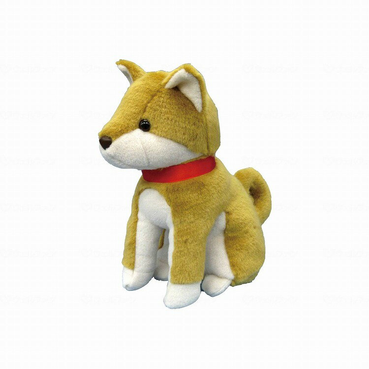 高齢者の自立を支援するコミュニケーションロボット○服薬や施錠、水分補給など、つい忘れがちな動作の誘導メッセージを録音すると、毎日定時に再生し、ご家族に代わってお知らせします。○「きょうは何日？」「いま何時？」と話しかけると、日にちや時刻を音...