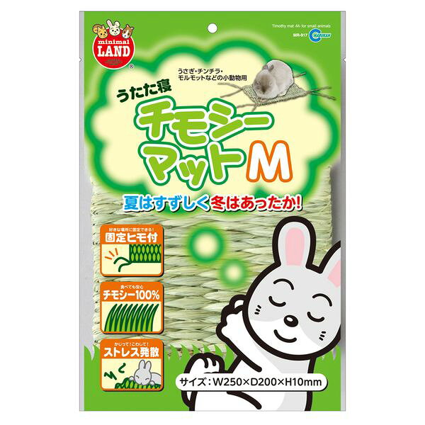 【取り寄せ品のご注意事項（ご注文前にご確認ください）】・本商品は原則注文後のキャンセルはお受けできません。・本商品と他商品で同梱注文をいただき、仮に他商品が完売等でご用意できない場合でも本商品は発送させていただきます。・本商品を複数（2点以...