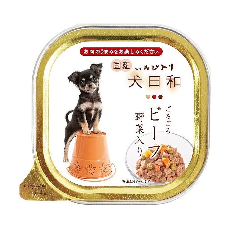 【取り寄せ品のご注意事項（ご注文前にご確認ください）】・本商品は原則注文後のキャンセルはお受けできません。・本商品と他商品で同梱注文をいただき、仮に他商品が完売等でご用意できない場合でも本商品は発送させていただきます。・本商品を複数（2点以...