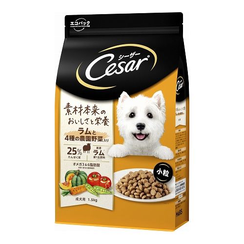 【取り寄せ品のご注意事項（ご注文前にご確認ください）】・本商品は原則注文後のキャンセルはお受けできません。・本商品と他商品で同梱注文をいただき、仮に他商品が完売等でご用意できない場合でも本商品は発送させていただきます。・本商品を複数（2点以...