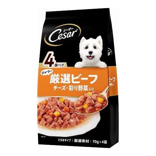 【取り寄せ品のご注意事項（ご注文前にご確認ください）】・本商品は原則注文後のキャンセルはお受けできません。・本商品と他商品で同梱注文をいただき、仮に他商品が完売等でご用意できない場合でも本商品は発送させていただきます。・本商品を複数（2点以...