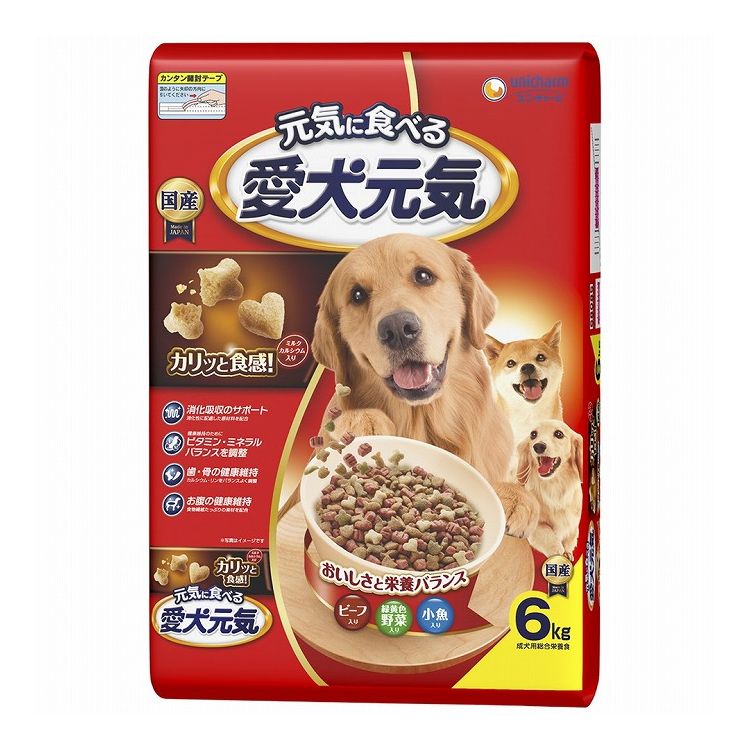 【取り寄せ品のご注意事項（ご注文前にご確認ください）】・本商品は原則注文後のキャンセルはお受けできません。・本商品と他商品で同梱注文をいただき、仮に他商品が完売等でご用意できない場合でも本商品は発送させていただきます。・本商品を複数（2点以...