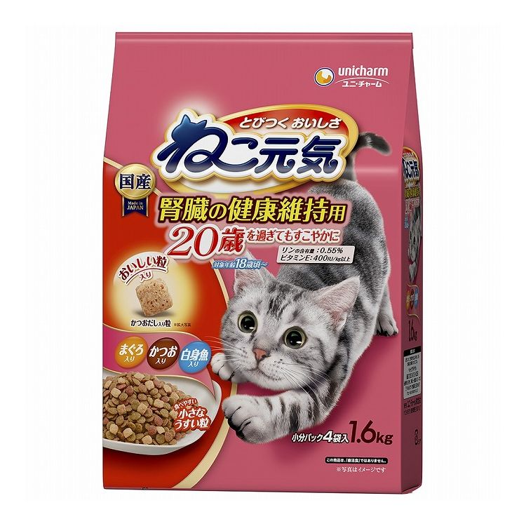 【取り寄せ品のご注意事項（ご注文前にご確認ください）】・本商品は原則注文後のキャンセルはお受けできません。・本商品と他商品で同梱注文をいただき、仮に他商品が完売等でご用意できない場合でも本商品は発送させていただきます。・本商品を複数（2点以...