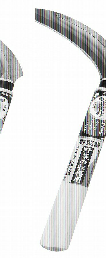 【商品詳細】鋭利な切れ味の特殊目立仕上げ野菜全般の収穫用SK-5日本製【送料について】北海道、沖縄、離島は送料を頂きます。