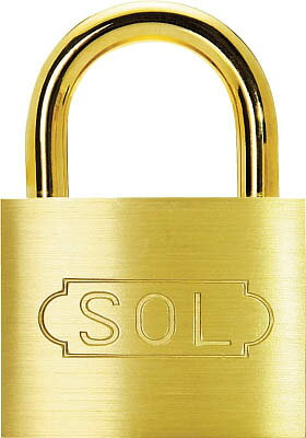 【メーカー型番】2500SD-60【JANコード】4994421150603【ブランド】SOL【特徴】●強度と耐久性に優れています。●一つの鍵で同一番号の鍵を開けることができます。（鍵の集中管理ができる）●規定の定番鍵番号同一鍵タイプです。...