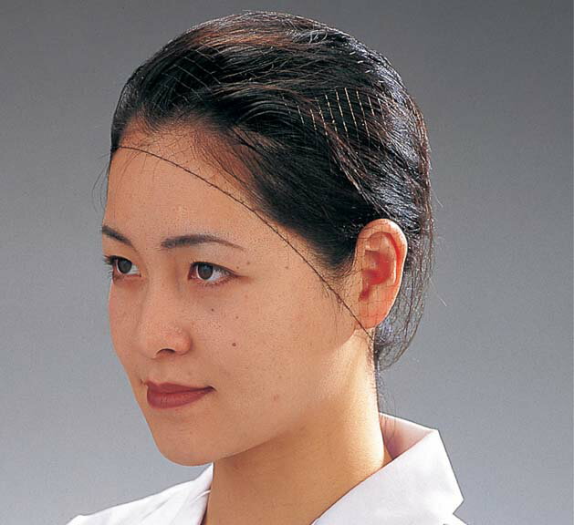 【商品説明】●ヨーロッパのベストセラー。6mm×6mmの網目が毛髪落下を防ぎます。 【材質】ナイロン【代引きについて】こちらの商品は、代引きでの出荷は受け付けておりません。【送料について】北海道、沖縄、離島は送料を頂きます。