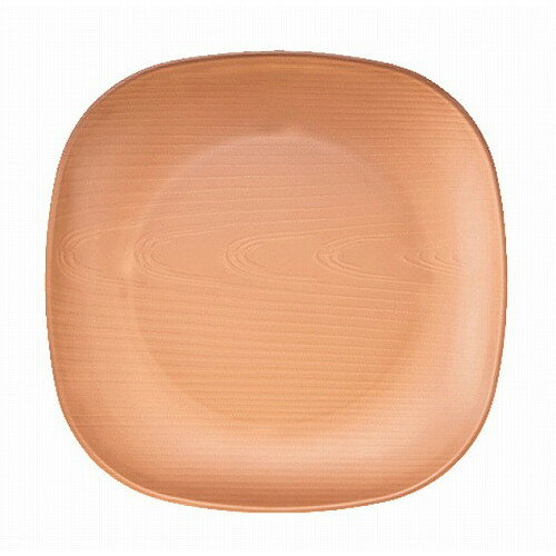 ■商品説明●耐熱温度：130℃■直径・サイズ250×250×H31■深さ■重さ310g■容量【代引きについて】こちらの商品は、代引きでの出荷は受け付けておりません。【送料について】北海道、四国、九州は送料を頂きます。【配送について】沖縄、離...