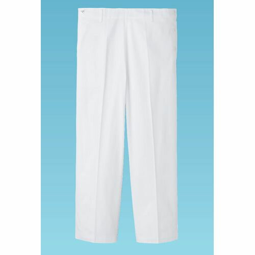 サンペックスイスト 女性用パンツ KG-432 （ホワイト） LL SPV114 JANコード 4582439089901●メーカー品番:KG-432●サイズ:LL●ウエスト(cm):80~ 90●総丈(cm):104●股下(cm):70●...