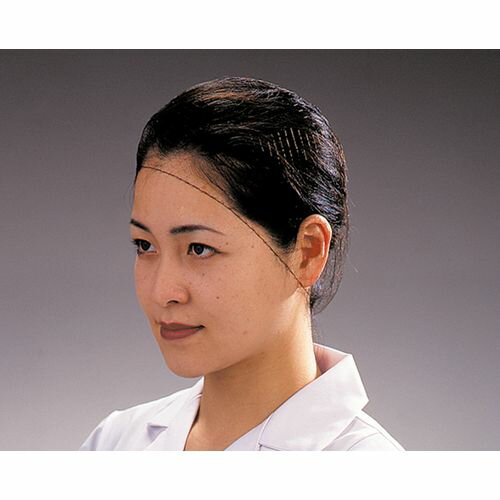 パル ヘアーネット（100枚入） T20663 Mサイズ SNT0102 JANコード 5025254045633●メーカー品番:T20663●サイズ:M■材質:ナイロン■ヨーロッパのベストセラー。■6mm×6mmの網目が毛髪落下を防ぎます...