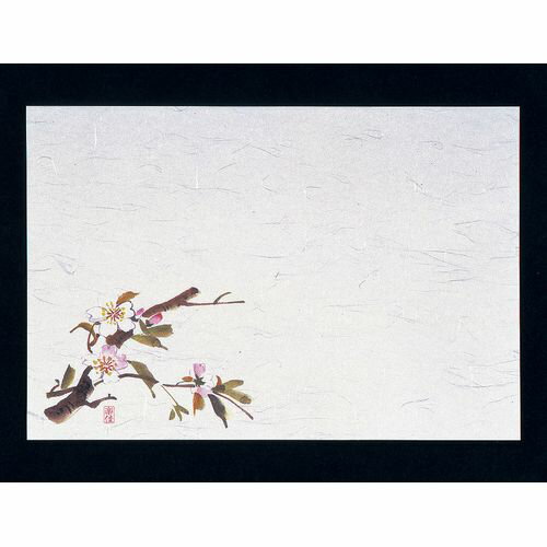 マイン 四季紙・千寿（100枚入） 桜 M30-205 QSV24 JANコード 4525328302057●幅×奥行(mm):390×265●重量(g):750●材質：紙■四季紙 日本の四季に応じたおもてなし■四季紙・千寿シリーズ ■季節...