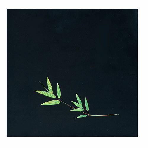 アーテック OPクリア四季 笹（200枚入） OS-12-3 QKL131 JANコード 4560164129284●メーカー品番:OS-12-3●幅×奥行(mm):120×120●材質：OPP■両面ラミネート加工してありますから、敷いても...