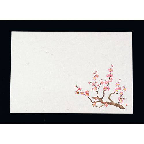 ヤマコー 尺3四季懐石まっと（50枚入） 梅 QKI61 JANコード 4988484644704●縦×横(mm):390×264●材質：和紙■尺3四季懐石まっと(50枚入)390×264■無蛍光雲竜和紙を使用しております。【送料について】...