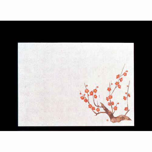 ヤマコー 遠赤保鮮紙 小 （100枚入） 梅 QHS01 JANコード 4988484645596●幅×奥行(mm):180×130●材質：和紙■天然セラミックを塗布した掛け紙■無蛍光和紙を使用しております。■霧吹等でよく湿らせて御使用くだ...
