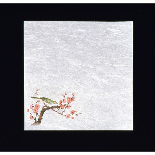 ヤマコー 新・濡れ奉書紙（100枚入） 梅 QHU10 JANコード 4988484653904●幅×奥行(mm):200×200●材質：和紙■薄口の特漉き雲竜和紙(無蛍光)を使用しています。■余分な油を吸収しますので、天紙としても最適です...