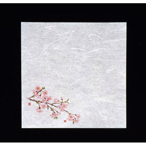 ヤマコー 新・濡れ奉書紙（100枚入） 桜 QHU11 JANコード 4988484653928●幅×奥行(mm):200×200●材質：和紙■薄口の特漉き雲竜和紙(無蛍光)を使用しています。■余分な油を吸収しますので、天紙としても最適です...